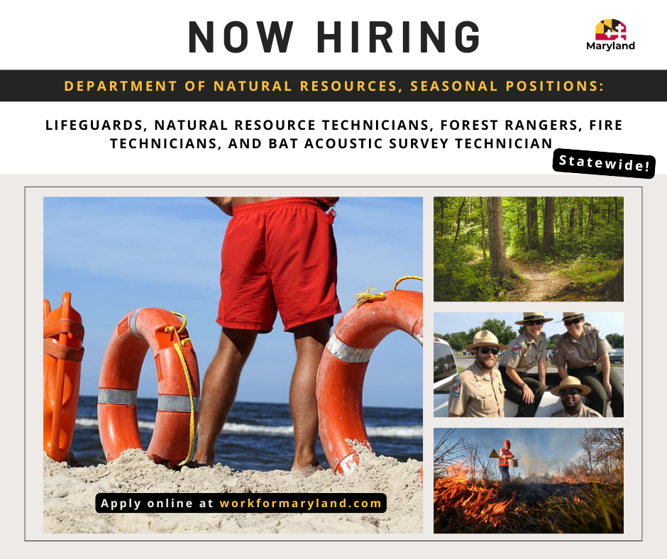 Maryland State Jobs - Immediate Openings!